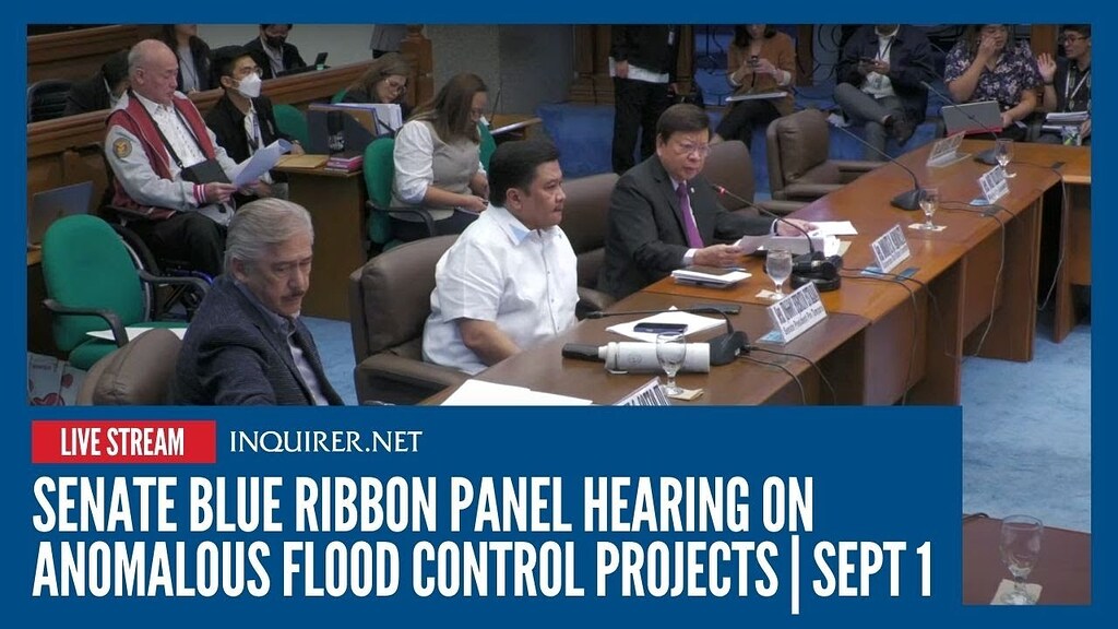Senate blue ribbon panel hearing on anomalous flood control projects ...
